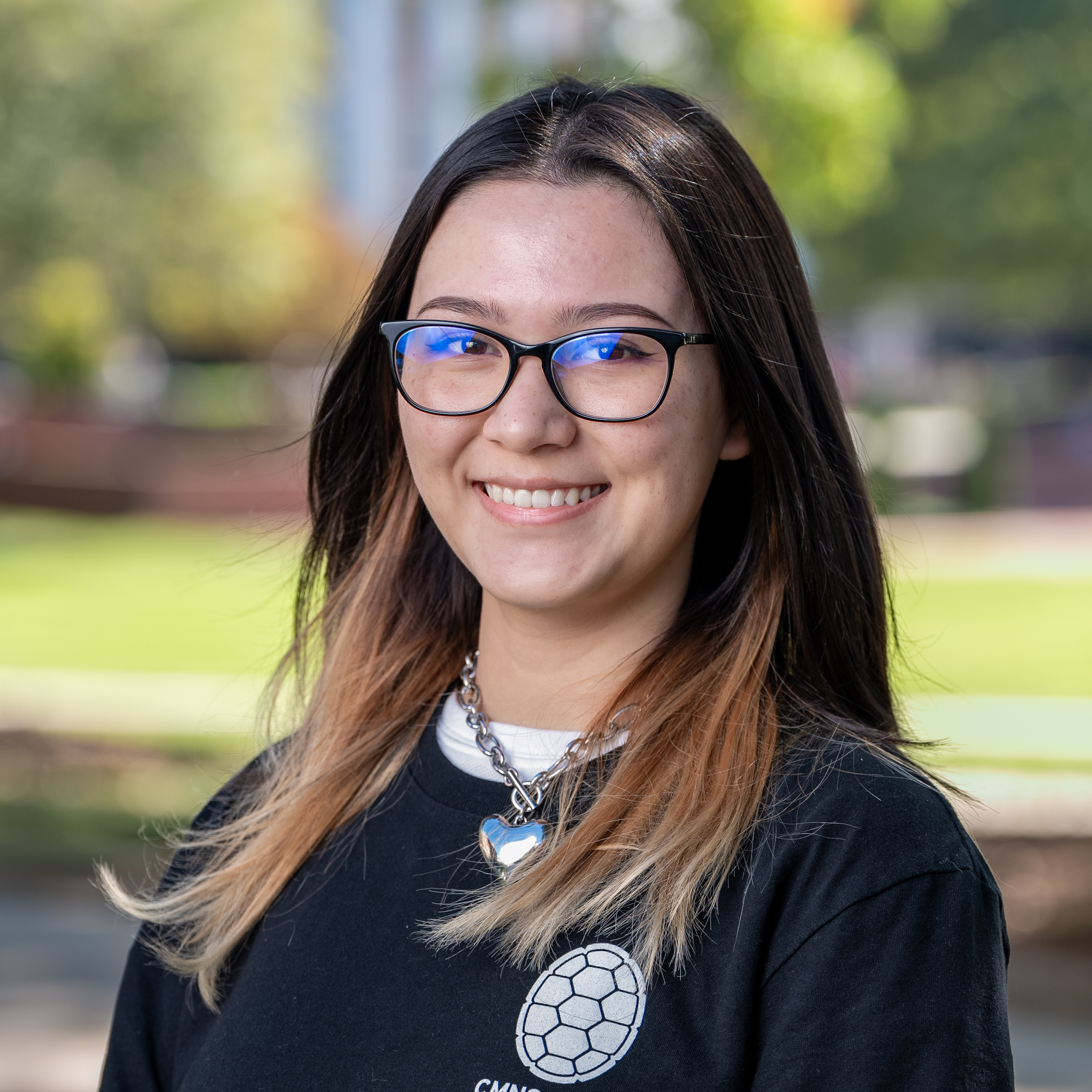 Feiyan Collins | College of Computer, Mathematical, and Natural ...